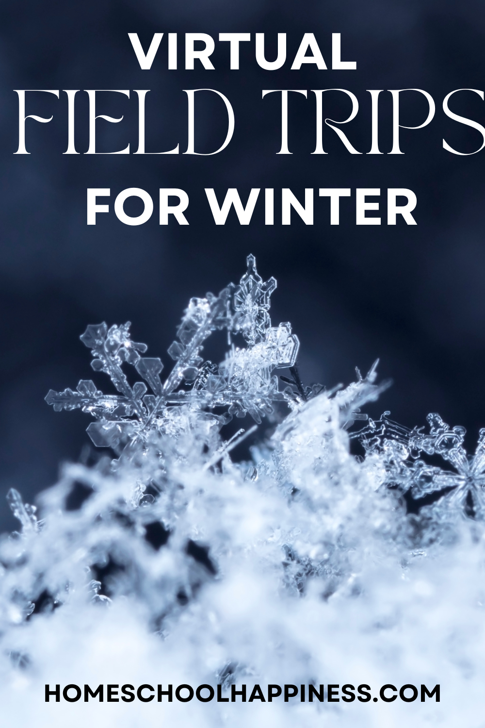 Explore the World: Virtual Field Trips for Winter Learning