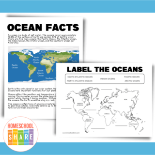 3rd Grade Science Worksheets for Engaging Science Learning