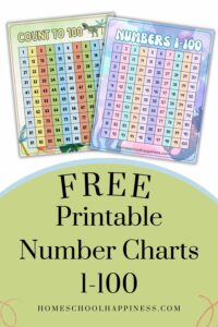 How a Hundreds Chart Worksheet Enhances Homeschool Math
