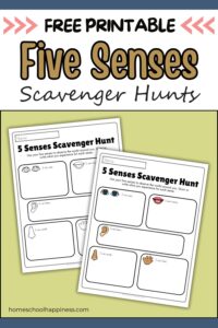 Free 5 Senses Scavenger Hunt Printable for Homeschool Fun