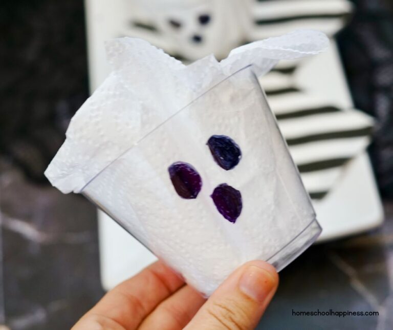 Easy Halloween Snack Cups for Kids – Fun and Festive Treats
