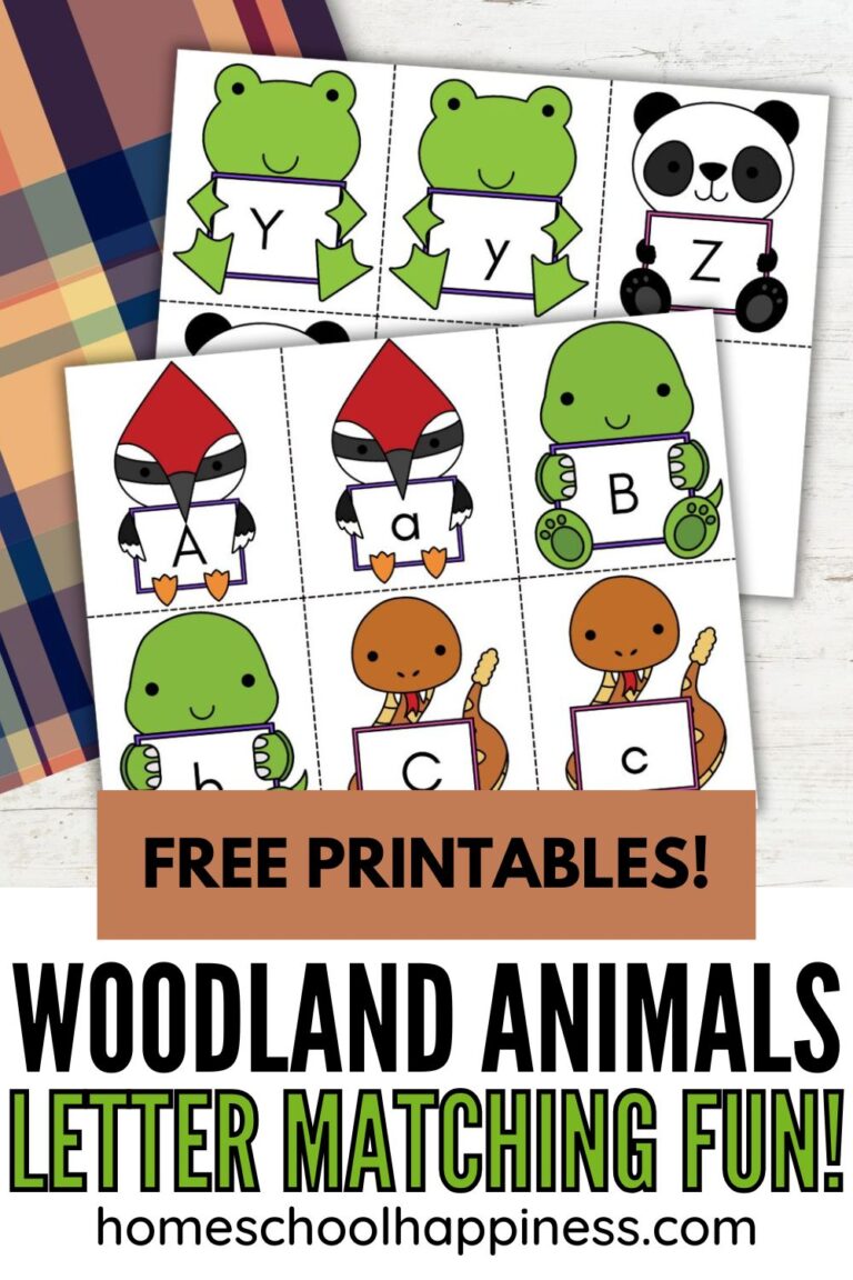 Fun Woodland Animals Letter Recognition Activity for Preschoolers