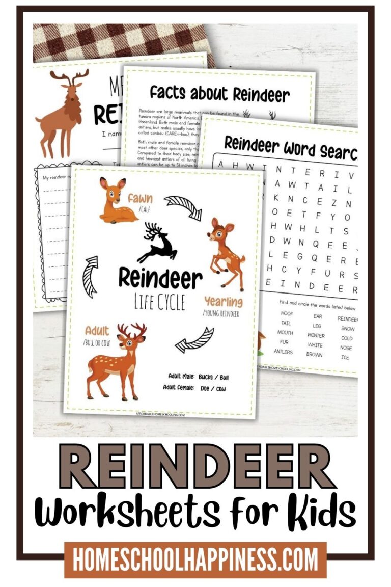 Fun and Educational Reindeer Worksheets for Homeschooling