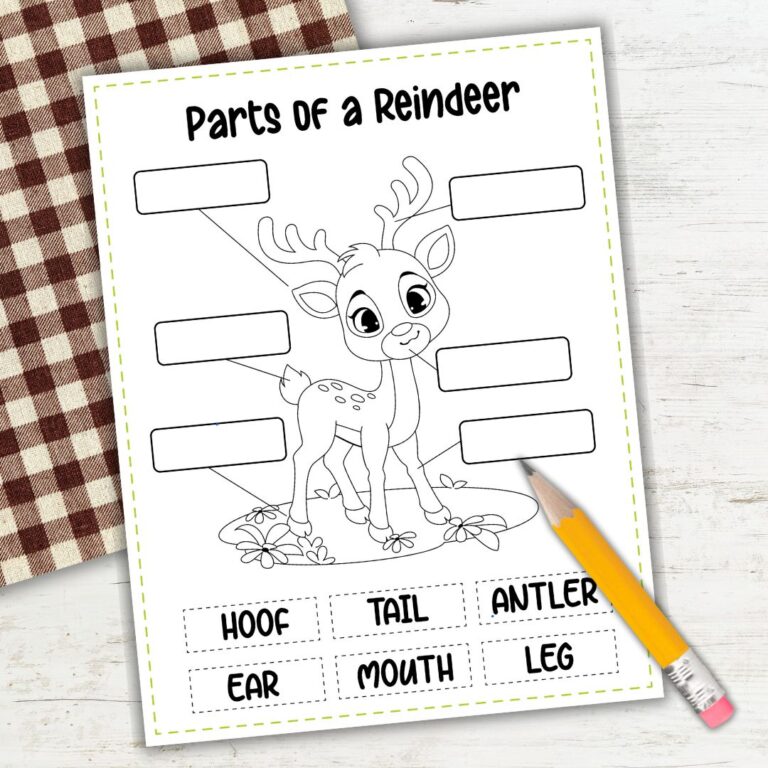 Fun and Educational Reindeer Worksheets for Homeschooling