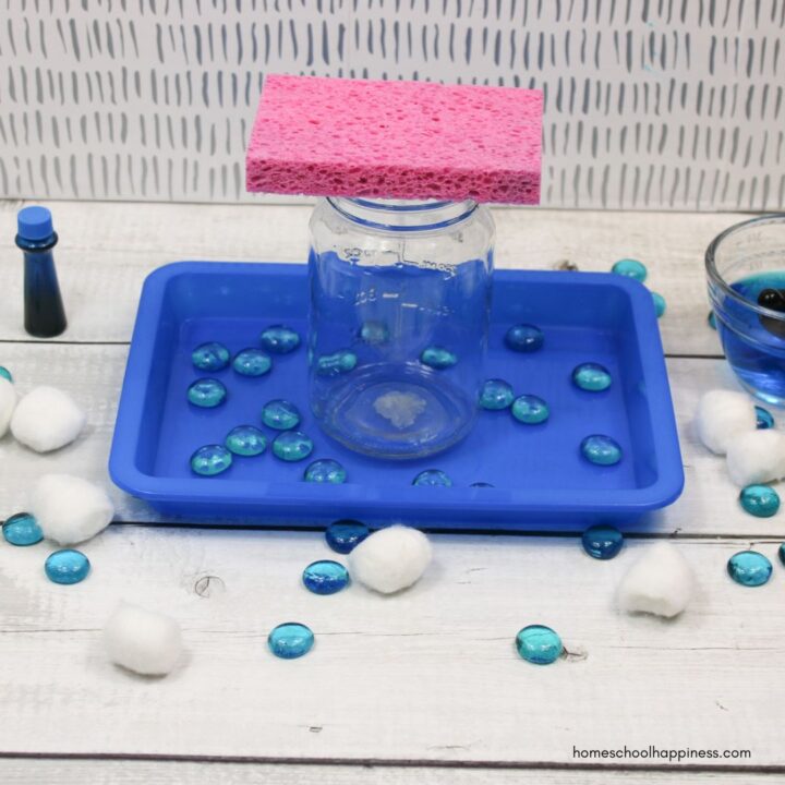 Experience the Magic of Rain in a Jar Activity