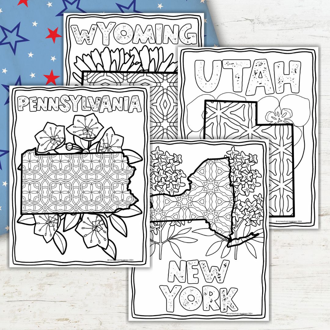 Engage in Learning with Free Printable 50 States Worksheets