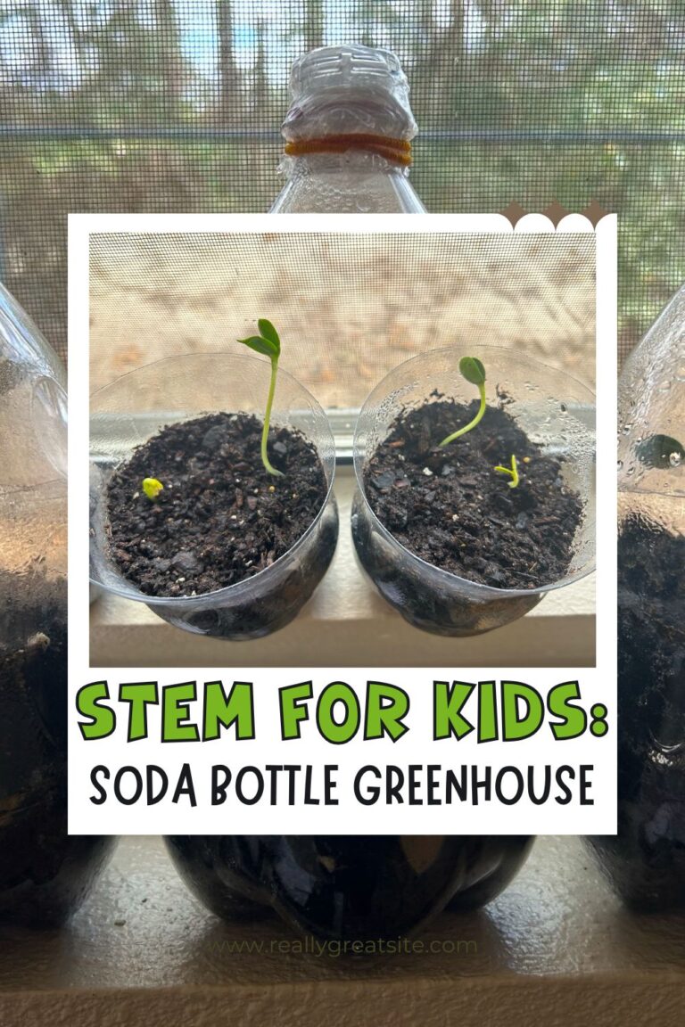 Easy Soda Bottle Greenhouse Science Activity for Kids