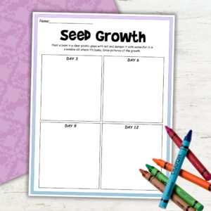Life Cycle of a Bean Plant Worksheets for Young Learners