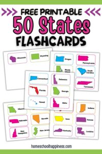 Free Printable 50 States Flashcards for Homeschool Fun
