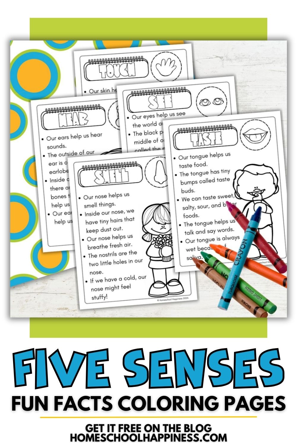 Fun Facts About the 5 Senses + Free Printable Worksheets