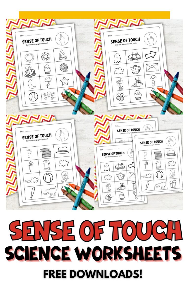 Sense of Touch Worksheet for Preschool – Free Printable