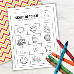 Sense of Touch Worksheet for Preschool – Free Printable