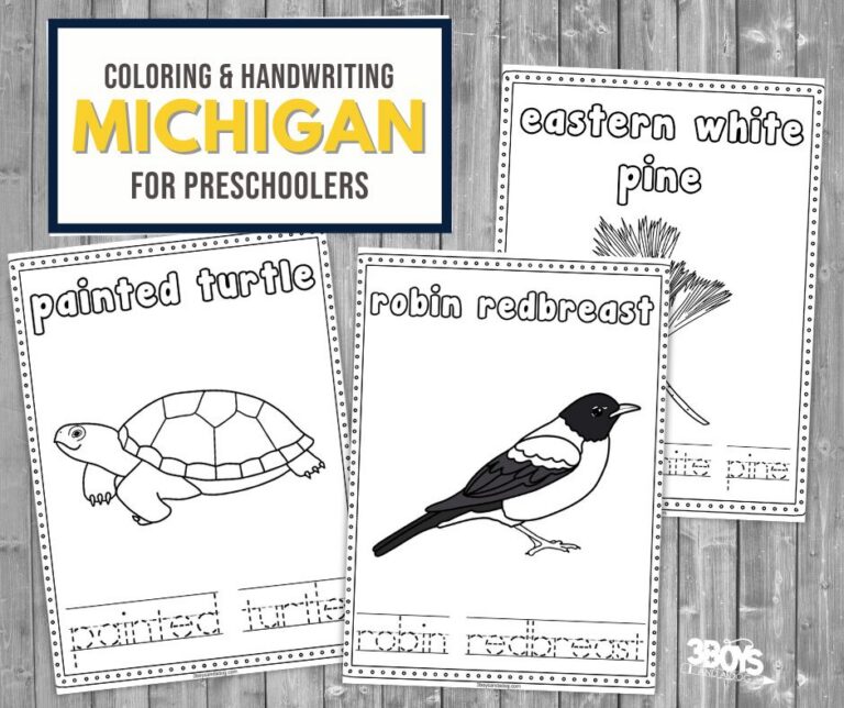 Free Printable State Facts Worksheets for Kids