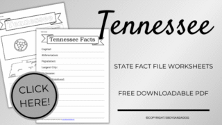 Free Printable State Facts Worksheets for Kids