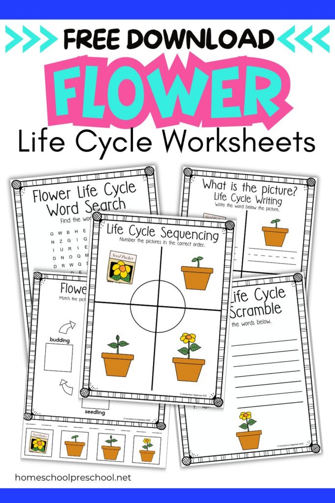 Life Cycle of a Flower Worksheets for Homeschool Science