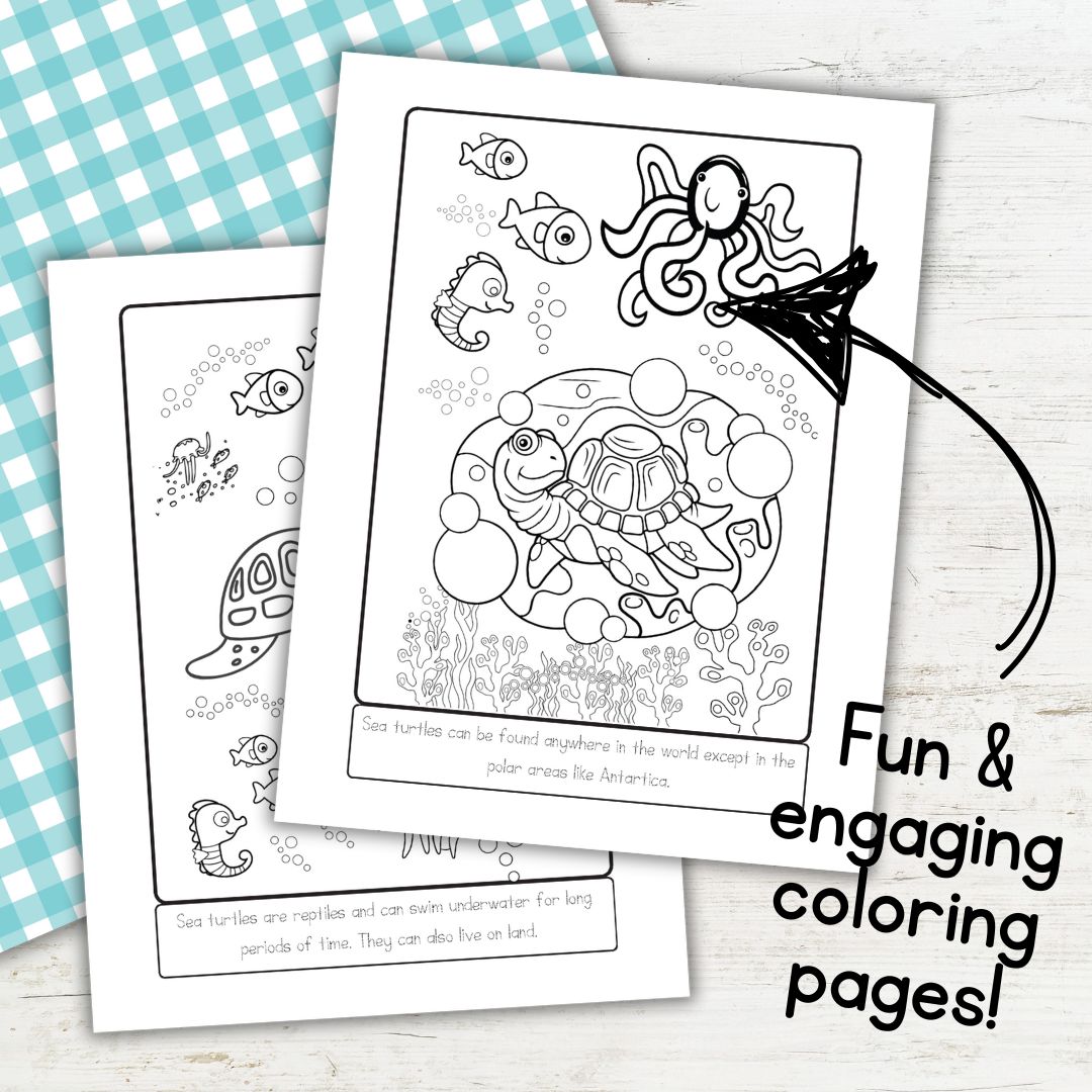 Sea Turtle Facts for Kids – Free Homeschool Worksheets