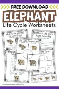 Life Cycle of an Elephant Worksheets for Homeschool Fun