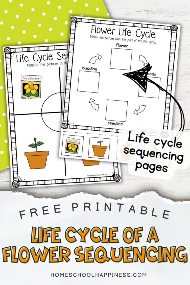 Life Cycle of a Flower Worksheets for Homeschool Science