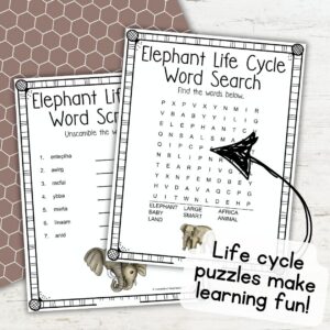 Life Cycle of an Elephant Worksheets for Homeschool Fun