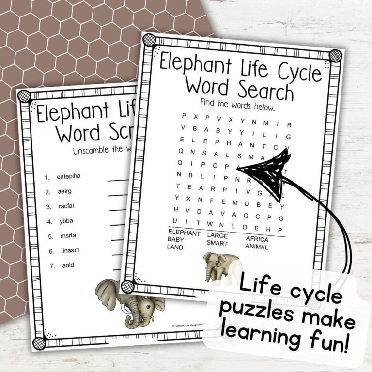 Life Cycle of an Elephant Worksheets for Homeschool Fun
