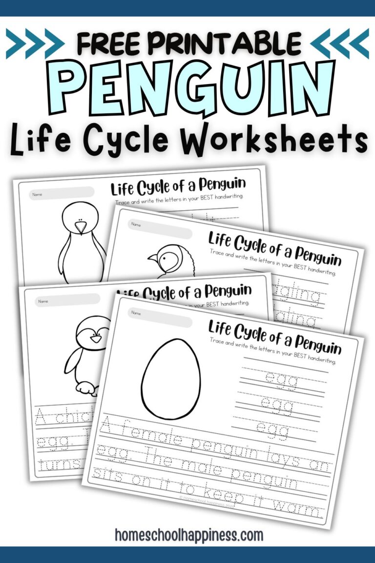 Life Cycle of a Penguin for Kids – Free Printable Worksheets