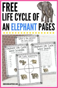 Life Cycle of an Elephant Worksheets for Homeschool Fun