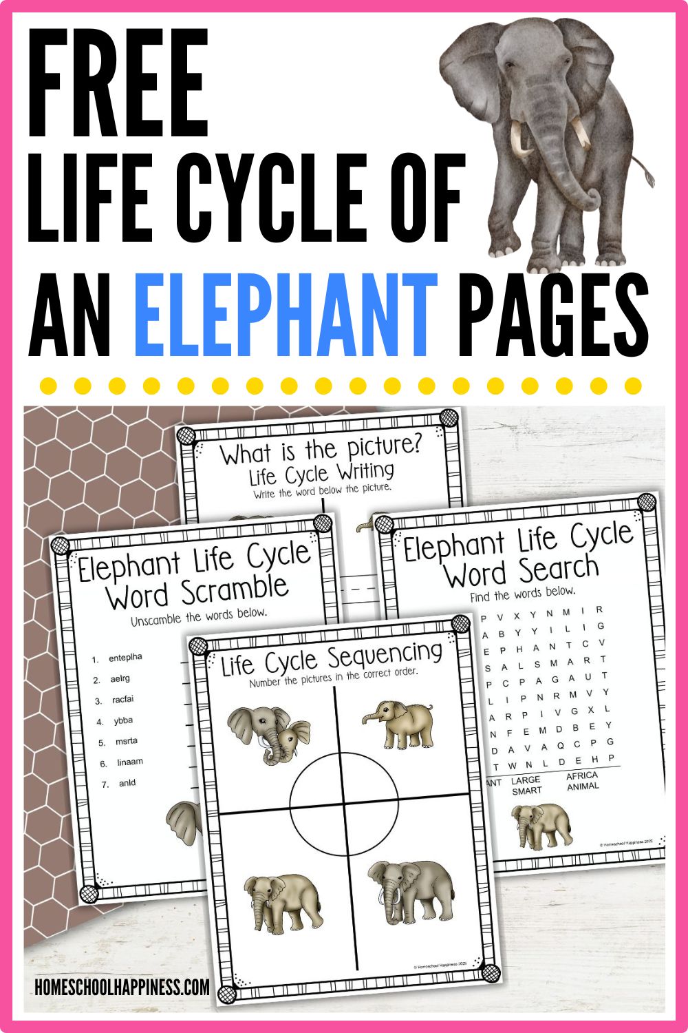 Life Cycle of an Elephant Worksheets for Homeschool Fun