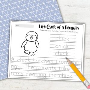 Life Cycle of a Penguin for Kids – Free Printable Worksheets