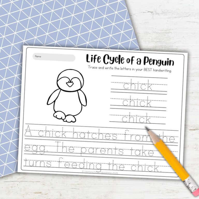 Life Cycle of a Penguin for Kids – Free Printable Worksheets