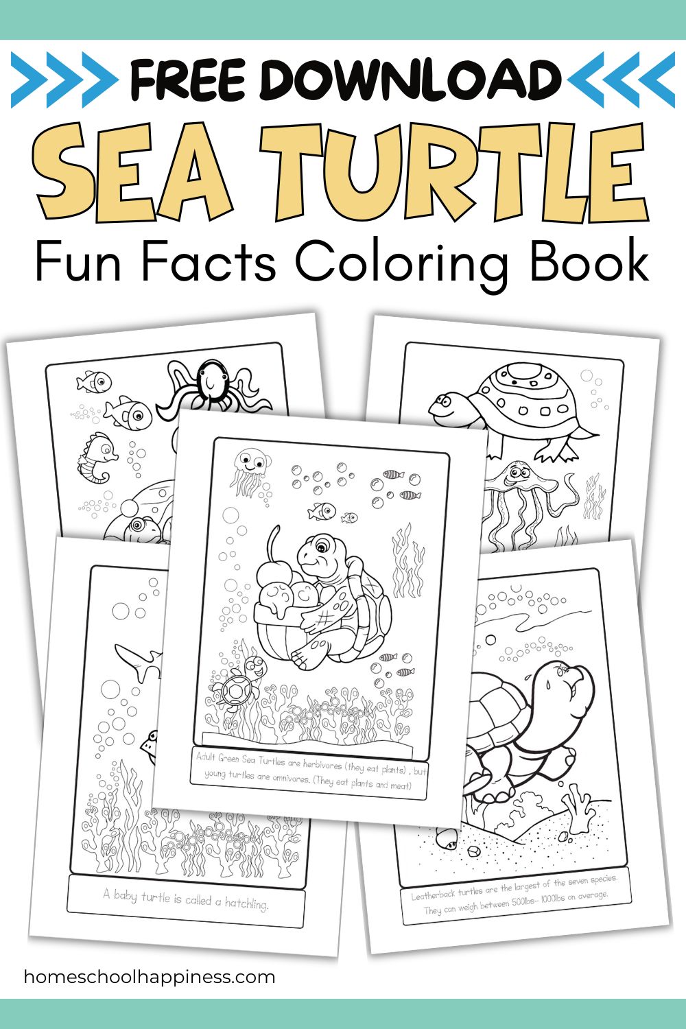 Sea Turtle Facts for Kids – Free Homeschool Worksheets