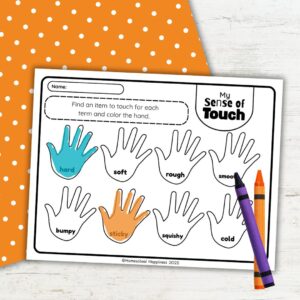 My Sense of Touch Worksheet – Free Printable for Kids