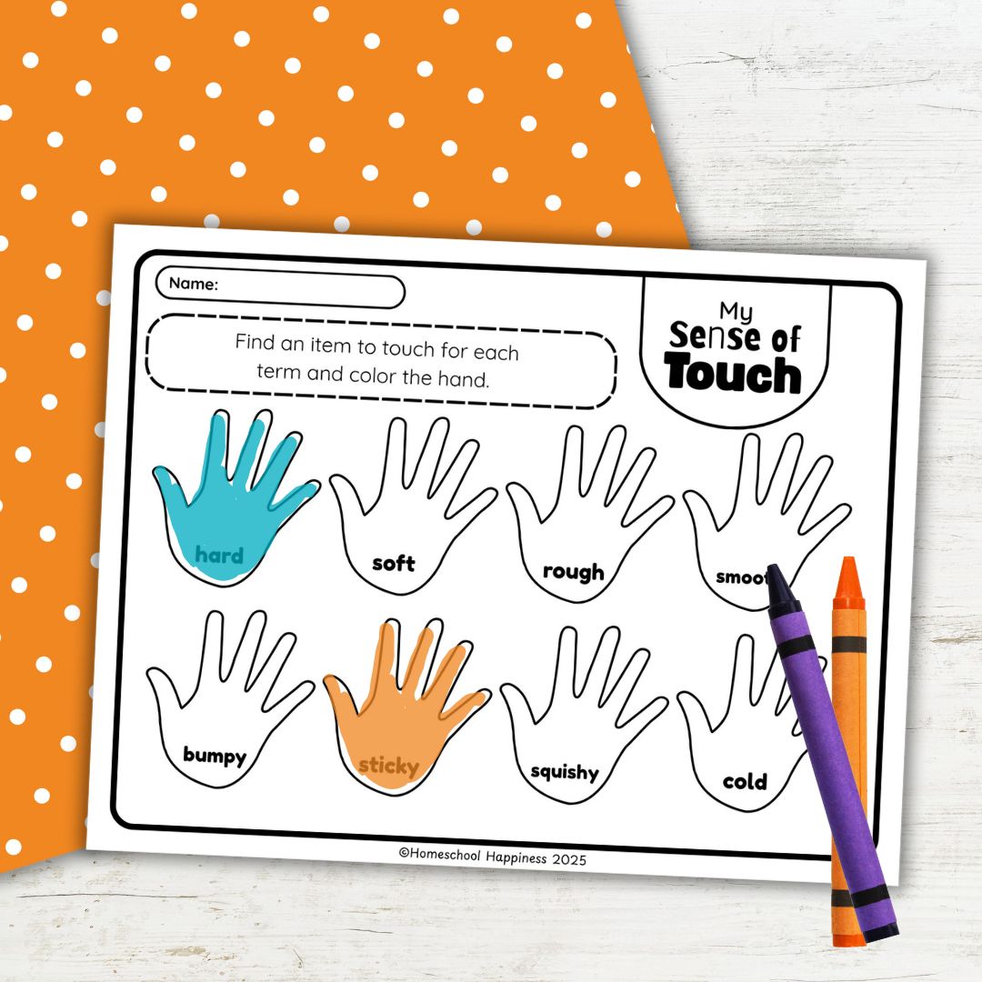 My Sense of Touch Worksheet – Free Printable for Kids