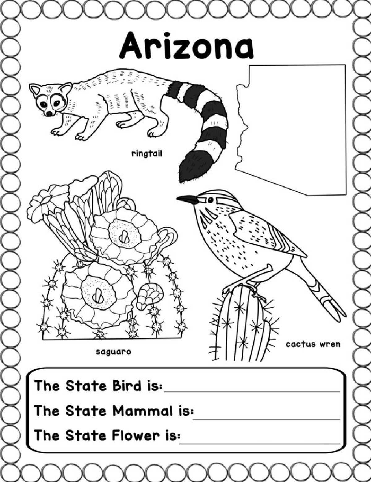 Free Printable State Facts Worksheets for Kids