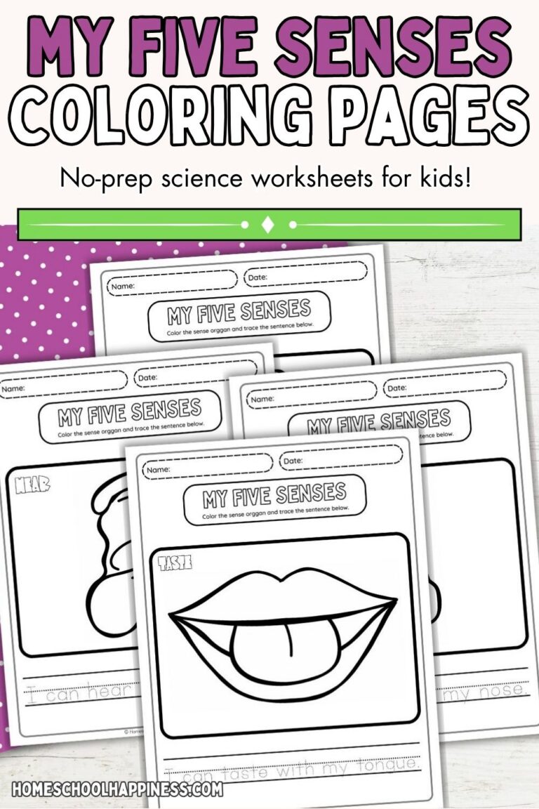 Five Senses Coloring Pages for Preschool: Fun & Learning