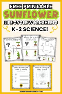 Sunflower Life Cycle Worksheets for Homeschool Science