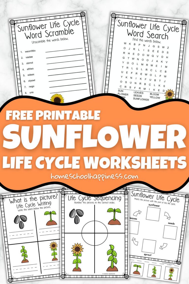 Sunflower Life Cycle Worksheets for Homeschool Science