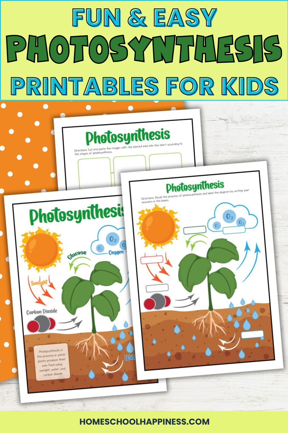 Photosynthesis Worksheets for 2nd Grade Science Fun