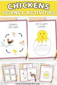All About Chickens Science Worksheets for Kids