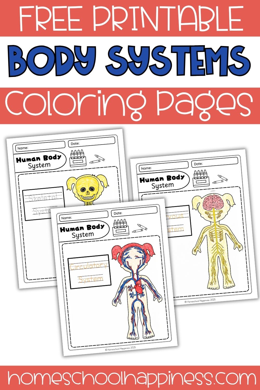 Human Body Systems Coloring Pages for Homeschool Science