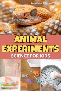 Fun & Easy Animal Experiments for Kids at Home