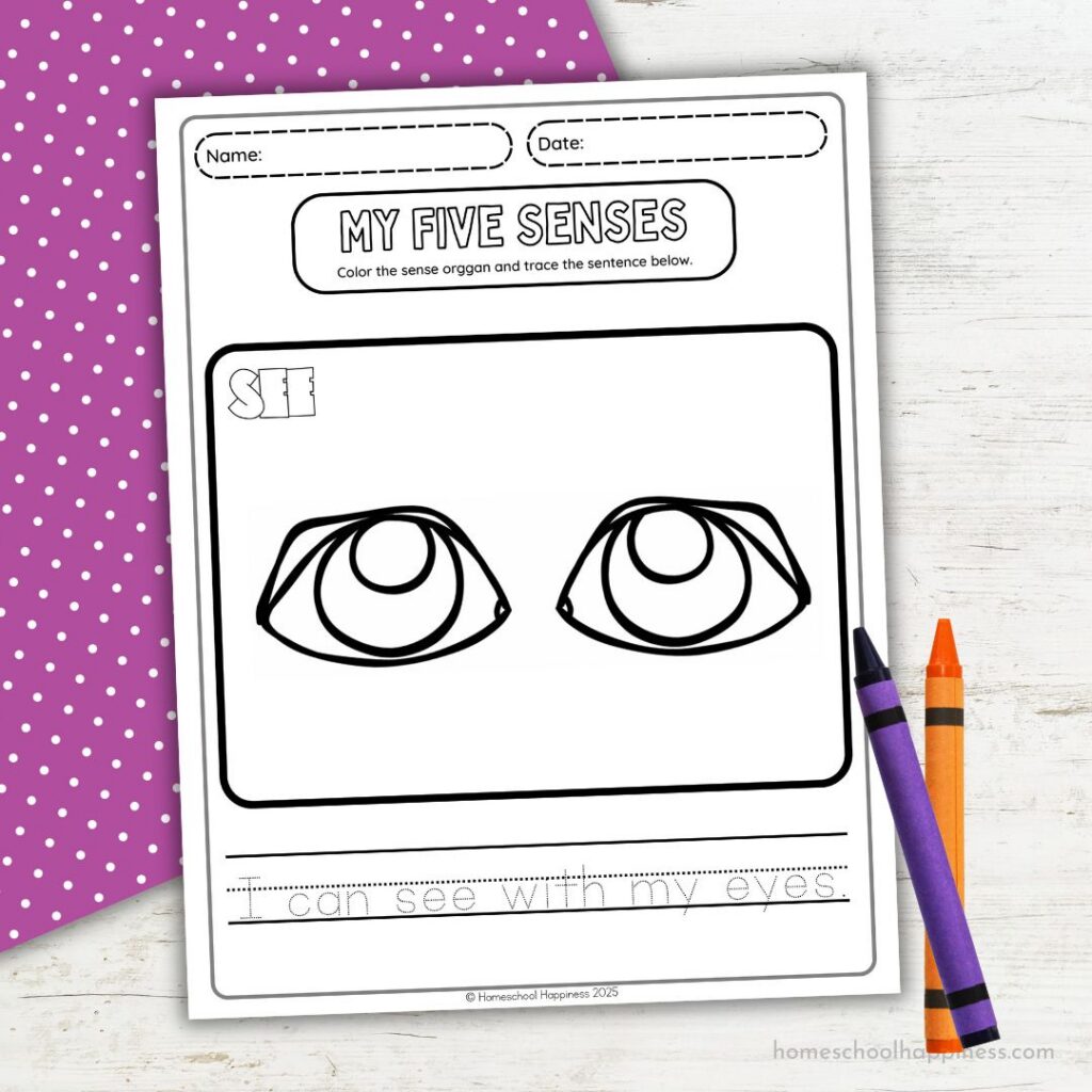 Five Senses Coloring Pages for Preschool: Fun & Learning