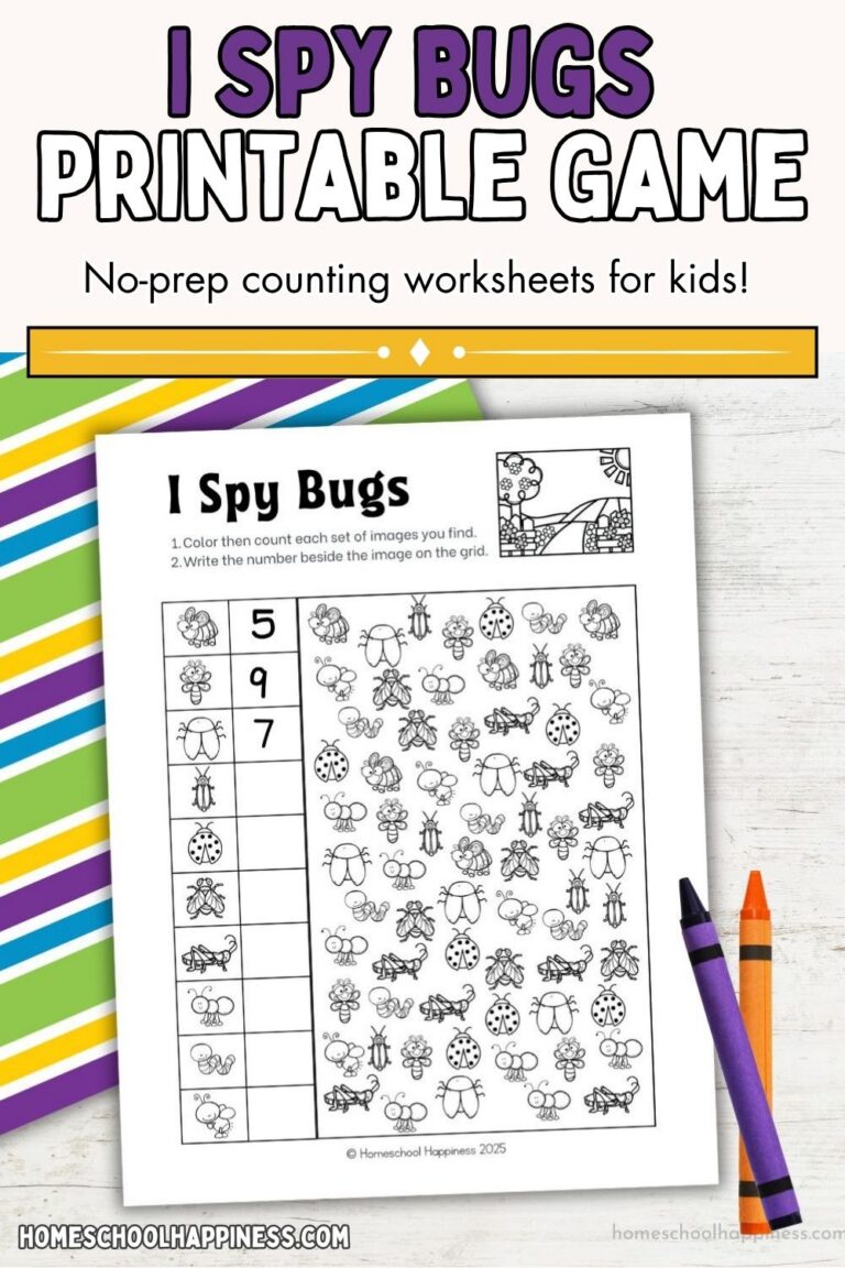 I Spy Bugs Worksheet – Fun Homeschool Math Practice