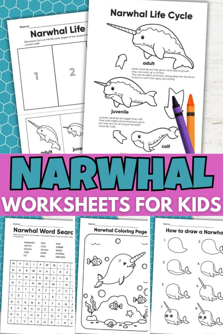 Narwhal Worksheets for Kids – Fun Science Activities