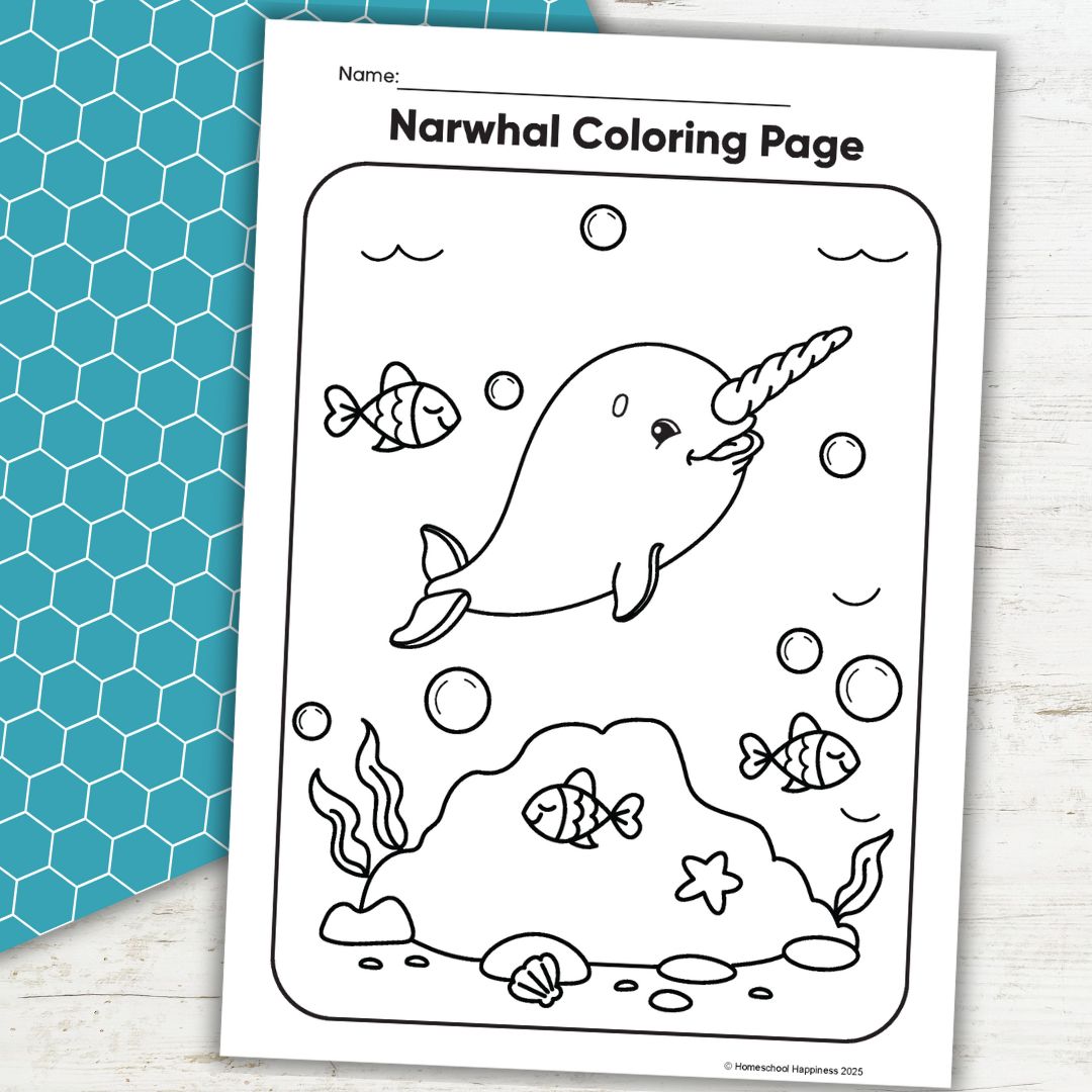 Narwhal Worksheets for Kids – Fun Science Activities