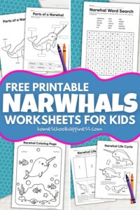 Narwhal Worksheets for Kids – Fun Science Activities