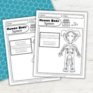 Human Body Systems Coloring Pages for Homeschool Science
