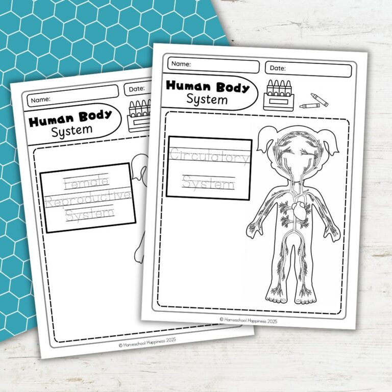 Human Body Systems Coloring Pages for Homeschool Science