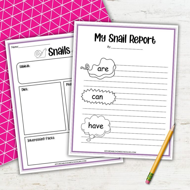 Snail Worksheets for Kids – Fun Homeschool Science Printables