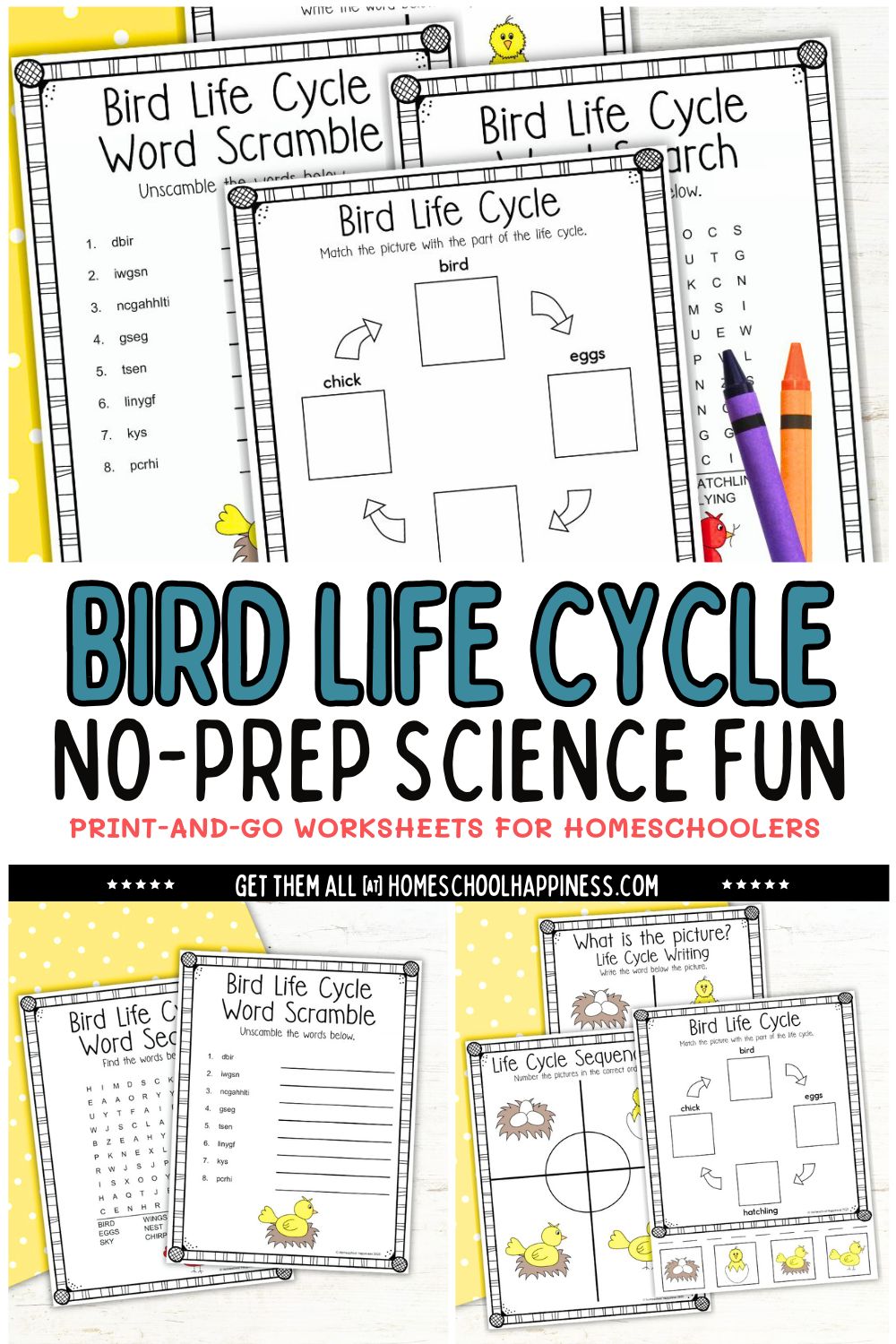 Life Cycle of a Bird Worksheets for Homeschooling