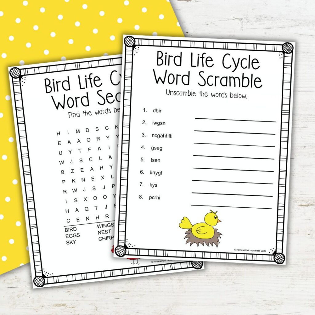 Life Cycle of a Bird Worksheets for Homeschooling